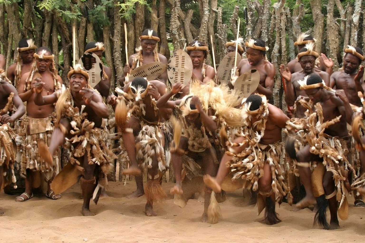 African Roots: The Nguni Tribe of Southern Africa – Genesis International